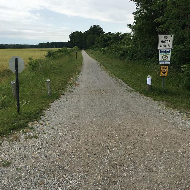 Week 3: Postcards from a bike ride across the USA – DotBike